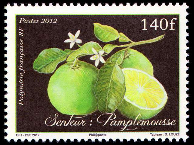 Recettes de Pamplemousse de La Cuisine Timbrée