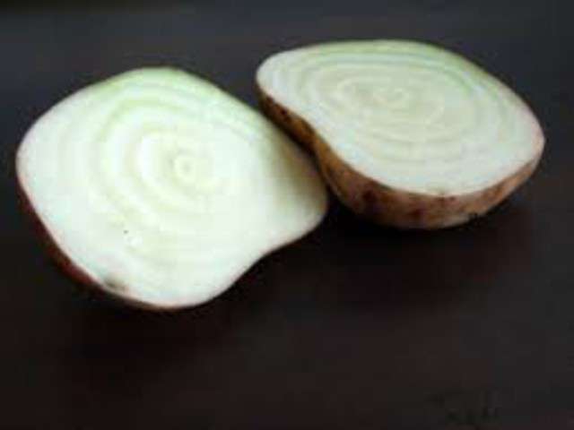 Recettes de Betterave blanche