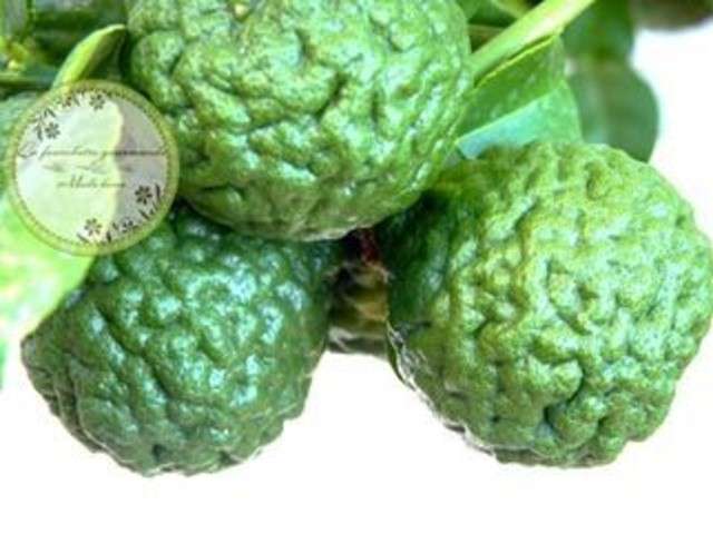 Les Meilleures Recettes de Combava et Piment