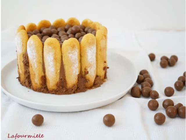 Recettes de Charlotte au chocolat de La Fourmi Elé