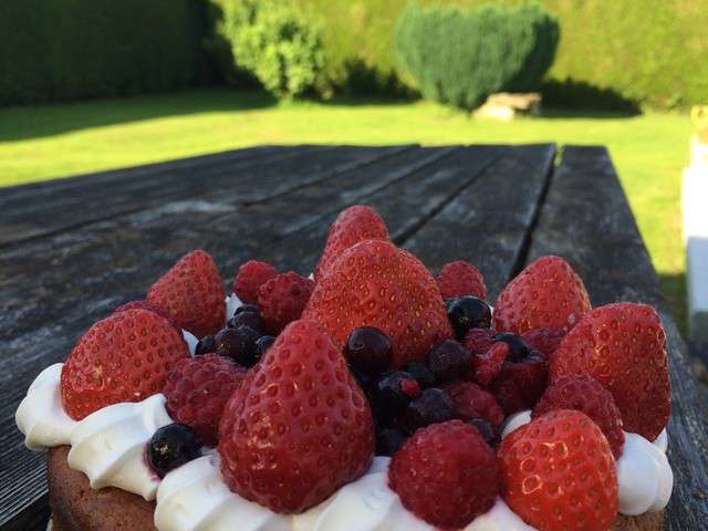 Recettes de Gâteau aux Fruits de La gourmandise de Violette