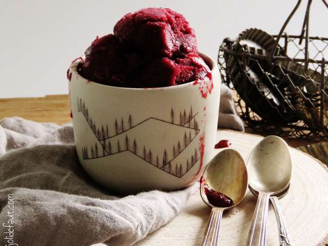 Recettes de Sorbets et Cassis