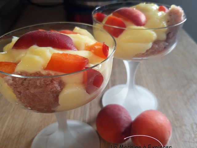 Recettes de Trifles de La Machine à Explorer