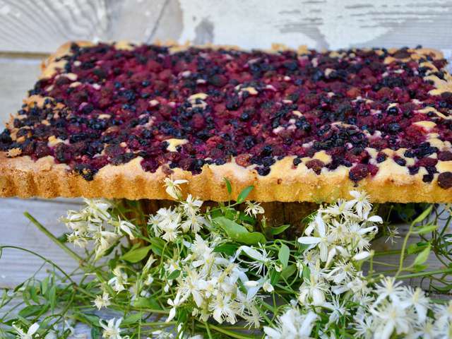 Recettes de Tarte moelleuse et Fruits