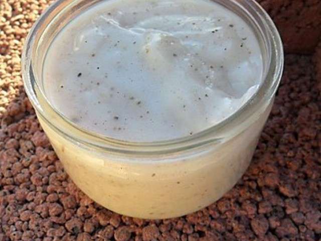 Recettes de Bechamel Light