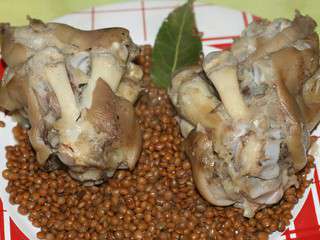 Les Meilleures Recettes de Pied de cochon