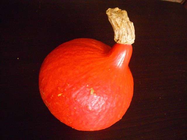 Recettes de Courge de La ronde des délices