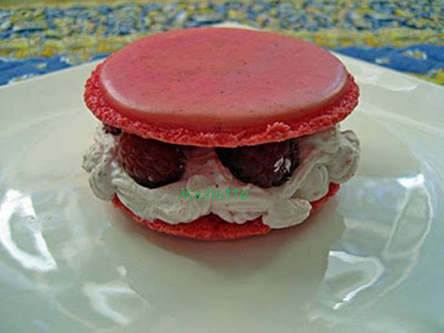 Les Meilleures Recettes de Macarons et Mousses