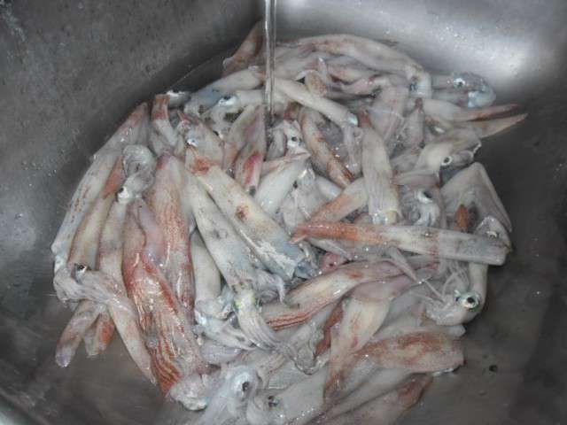 Recettes de Calamars de La vie en République Dominicaine