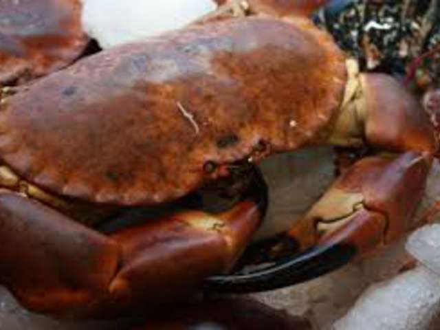 Recettes de Tourteau