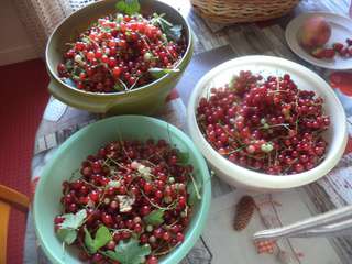 Recettes de Groseilles et Confiture de groseilles