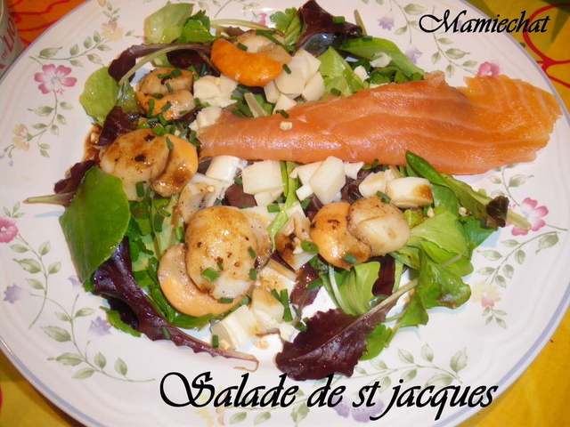 Recettes de St Jacques et Salades