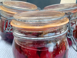 Recettes de Betteraves