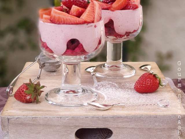 Recettes de Mousse de Fruits Rouges