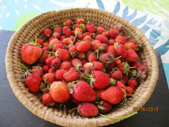 Recettes de Fruits de Le jardin de Cruik