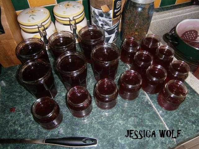 Recettes de Groseilles de le monde gourmand de Trilli et Jessica