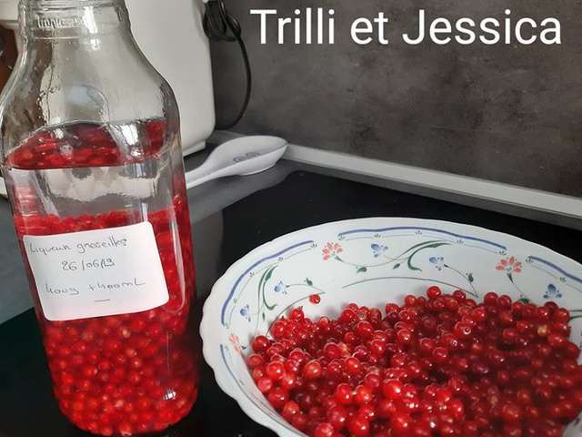 Recettes de Groseilles de le monde gourmand de Trilli et Jessica