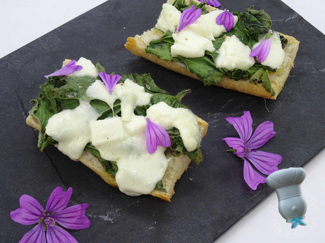 Recettes de Mauve