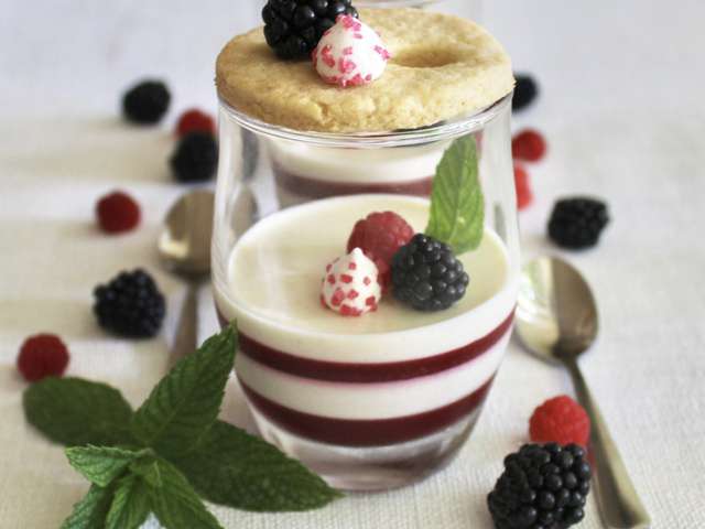Les Meilleures Recettes de Panna Cotta et Biscuits
