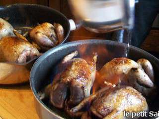 Les Meilleures Recettes de Pigeons