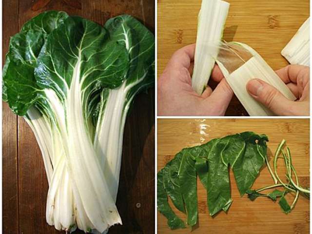 Recettes de Blettes de Le Sot L'y Laisse