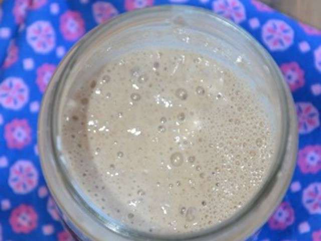 Les Meilleures Recettes de Levain liquide