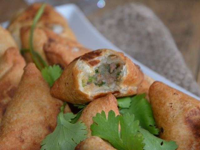 Les Meilleures Recettes de Samoussas et Viande Hachée