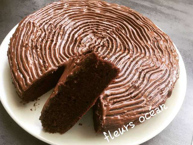 Recettes de Gâteau Facile et Moelleux