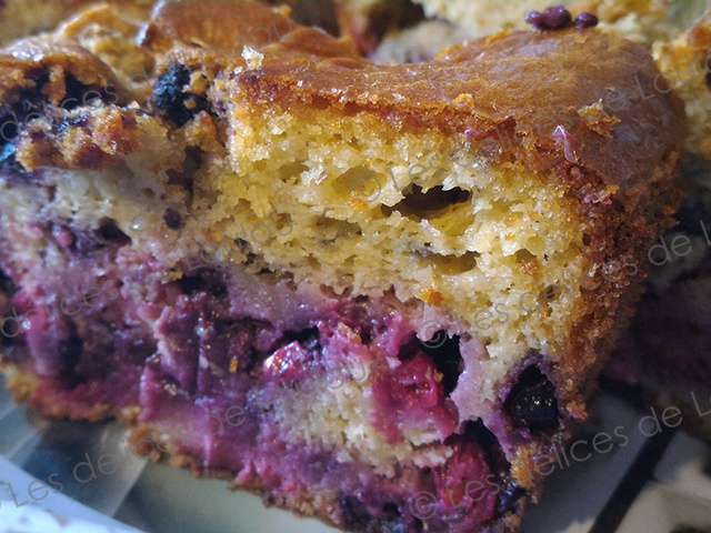 Recettes de Gâteau aux Fruits