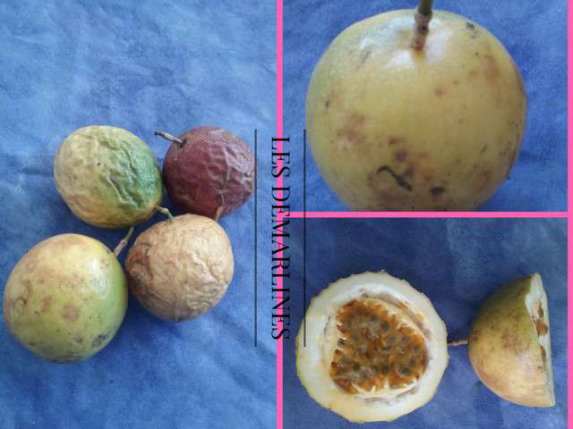 Recettes de Fruit Exotique