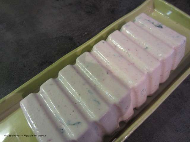 Recettes de Cook'in et Guy Demarle - 2