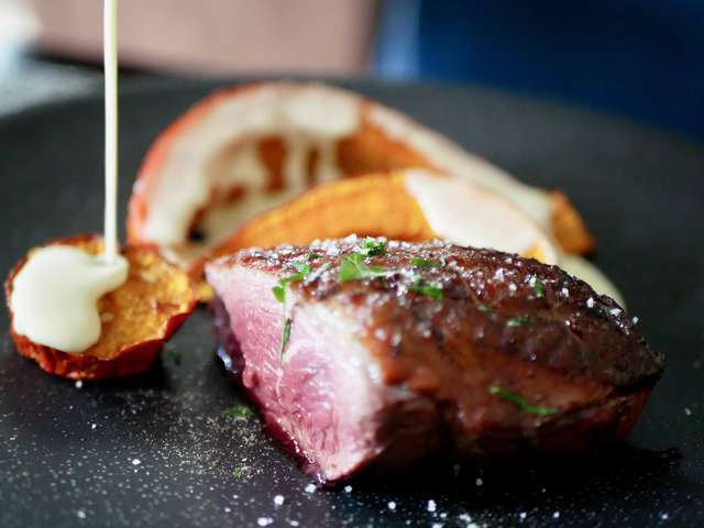 Recettes de Filets de canette et Rôti