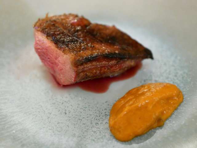 Recettes de Filets de canette et Sauces