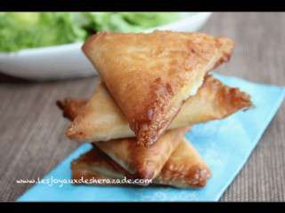 Les Meilleures Recettes de Bricks et Fromage