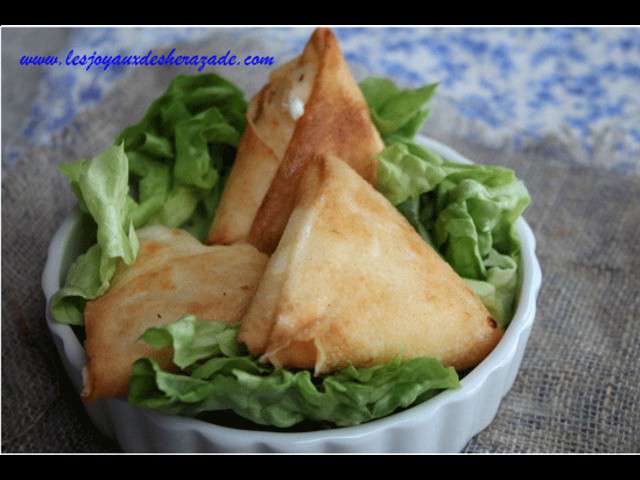 Les Meilleures Recettes de Bricks et Cuisine Rapide