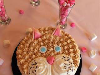 Recettes de Chat et Gâteaux