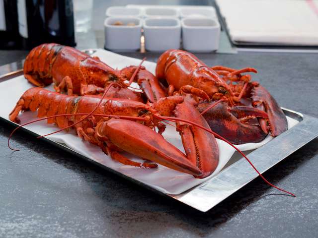 Recettes de Homard - 5