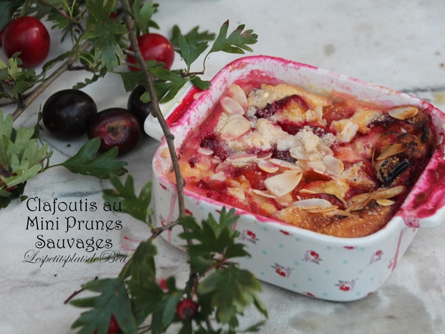 Recettes de Prunes et Sauvage