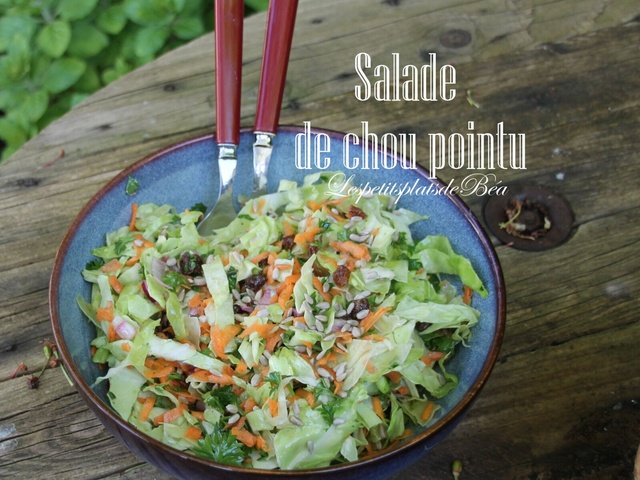 Recettes de Chou pointu