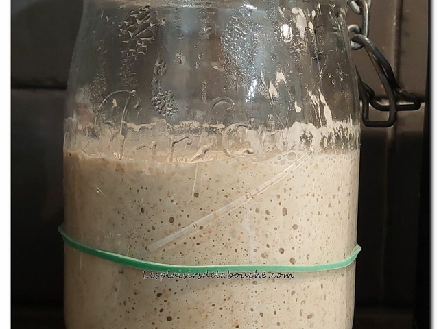 Recettes de Levain liquide de les plaisirs de la bouche