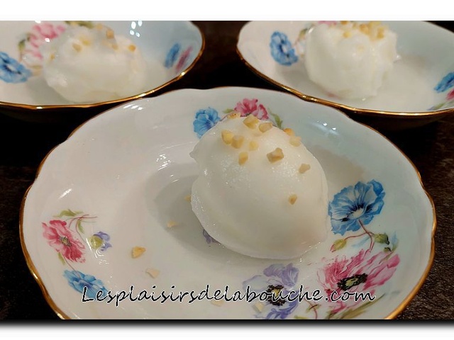 Recettes de Sorbets de les plaisirs de la bouche