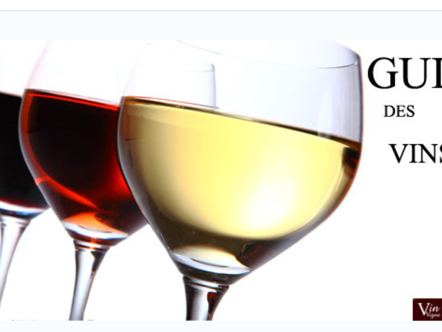 Recettes de Vigne et Vin