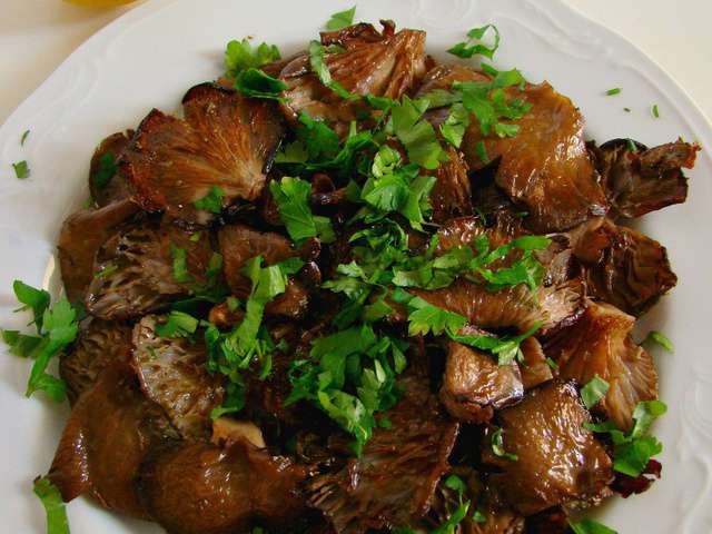 Recettes de Pleurotes et Cuisine Vegane