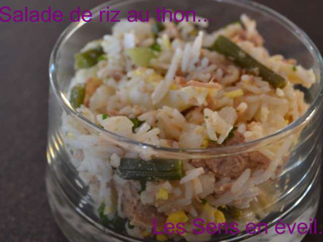 Recettes de Salade de riz au thon de Les sens en éveil ...