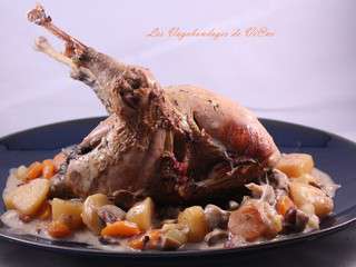 Recettes de Poule faisane