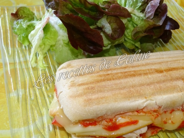 Recettes de Panini - 3