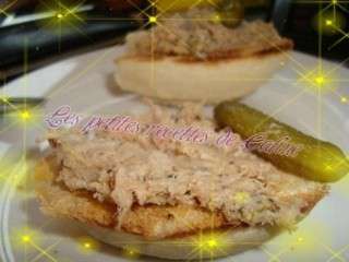 Les Meilleures Recettes de Rillettes et Porc