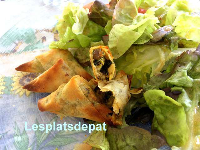 Recettes de Samoussas de lesplatsdepat