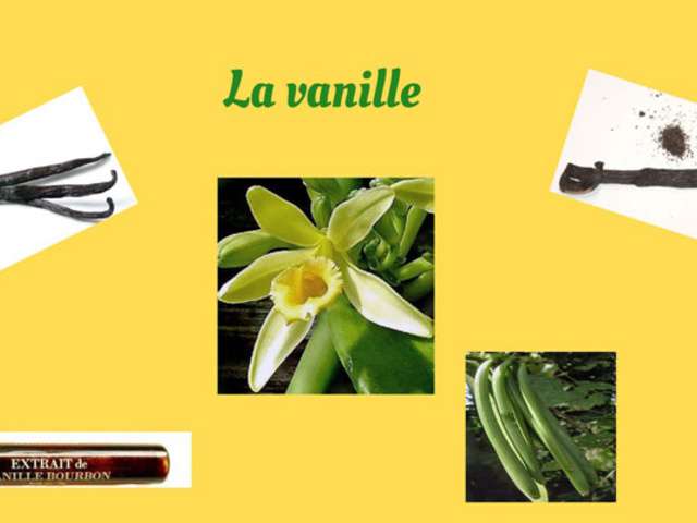Recettes de Vanille de Line Lisbonne et Cie