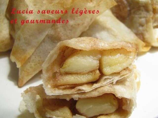 Recettes de Bricks de Lucia saveurs légères et gourmandes